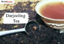Types of Tea in India | Types of Chai in India | Newspiner