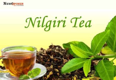 Types of Tea in India | Types of Chai in India | Newspiner