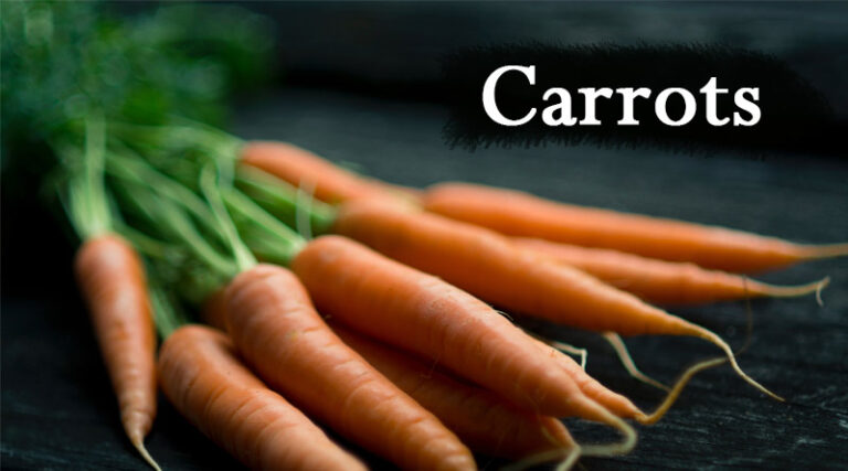 Monsoon Fruits and Vegetables in India | Rainy Season Fruits Vegetables