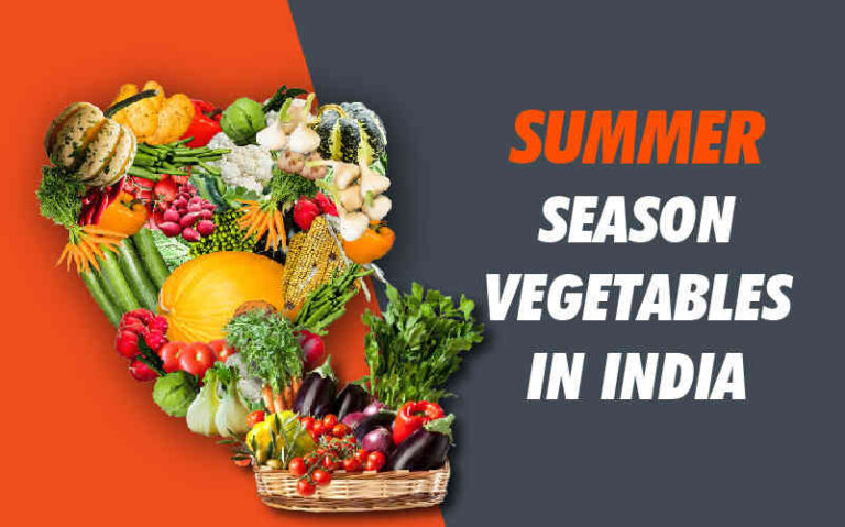 Top 10 Winter fruits and vegetables in India | Newspiner
